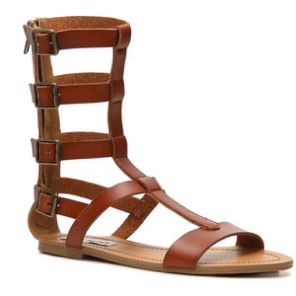 Steve Madden | Shoes | Steve Madden Gladiator Sandals | Poshmark